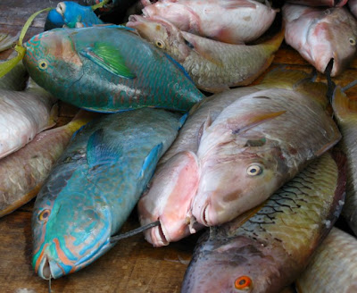 Blake and Deb in Fiji: Labasa, Part 1 - The Town